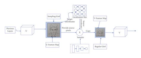 Simple Structure Of The Stn Network Model Download Scientific Diagram