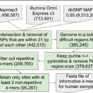 The Selection Method For Informative Human Polymorphic Sites Used In