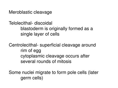 Ppt Development Gamete Formation Fertilization Cleavage Gastrulation