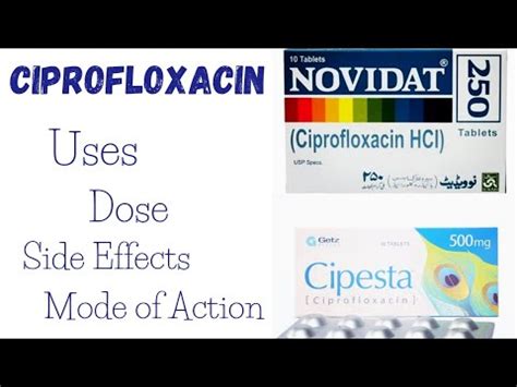 Ciprofloxacin Uses Dose Side Effects Bioavailability And Contraindications YouTube