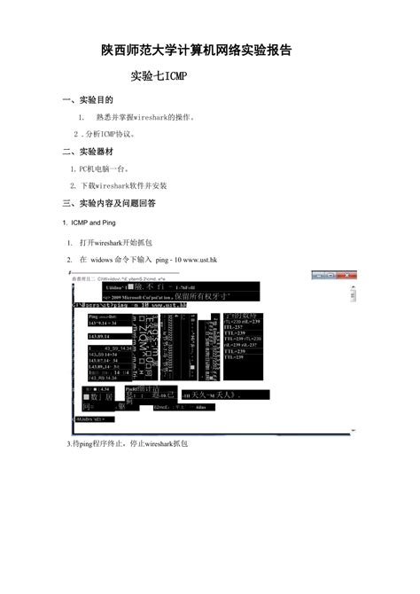 计算机网络实验报告 icmp