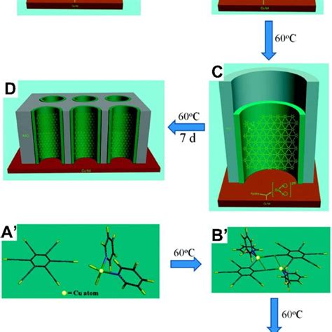 Stepwise Intermolecular And Intramolecular Glaser Hay Coupling Reaction