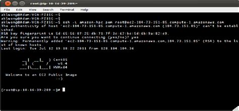 A Snapshot Of The Command Prompt Shell Made On The Running Aws Ec2