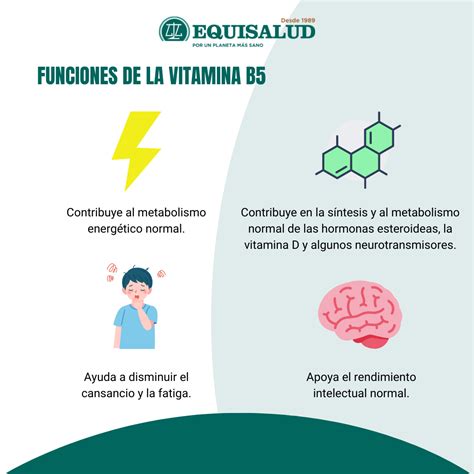 💊 La Vitamina B5 También Laboratorios Equisalud Facebook
