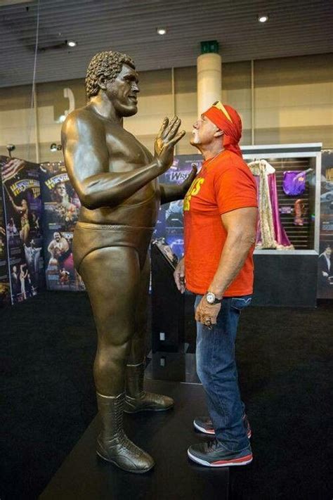 Pin On Wrestling