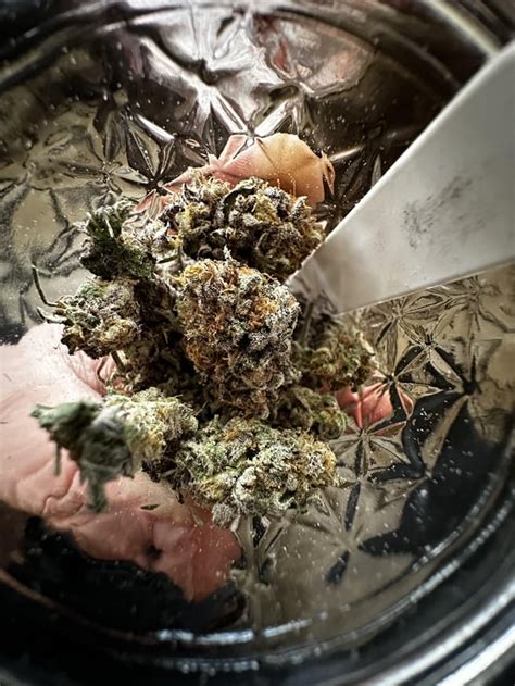 Newest Crop Curing Rbuffalocannabis