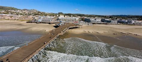 Pollinator Month In Pismo Beach Visit Pismo Beach California