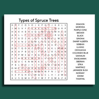 Types Of Spruce Trees Word Search Puzzle Worksheet Printable