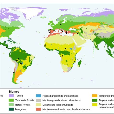 Coco Dataset Object Detection Evaluation Metrics 42 Download