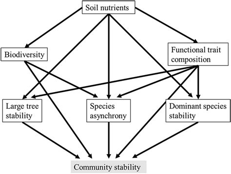 A Conceptual Model For Structural Equation Model To Test The Direct Or