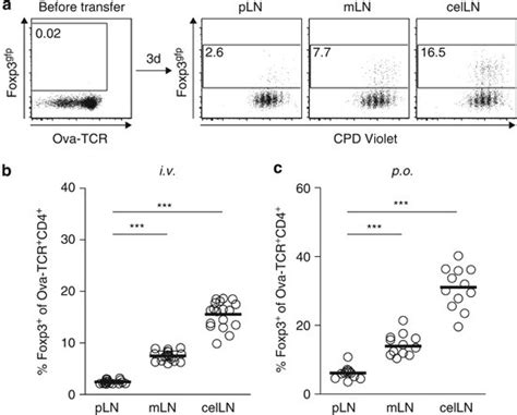 Mesenteric And Celiac Lymph Nodes Mln And Celln Display A Higher Download Scientific Diagram