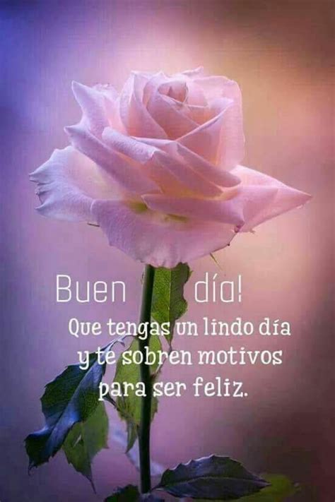 Hermosas Imágenes De Flores Con Frases Para Dedicar