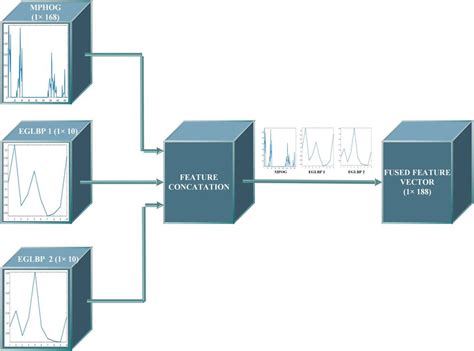 Illustration Of Feature Concatenation Download Scientific Diagram