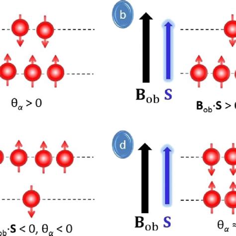 Schematic Description For Nuclear Spin Distribution During Sweeping Of