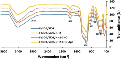 Ftir Spectra Of Mnps After Stepwise Surface Modification With Teos Download Scientific Diagram