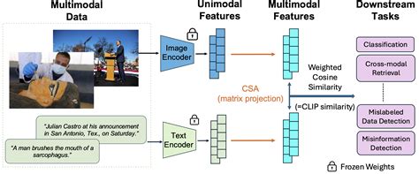 CSA Canonical Similarity Analysis