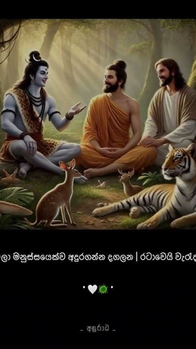 රටාව Youtube