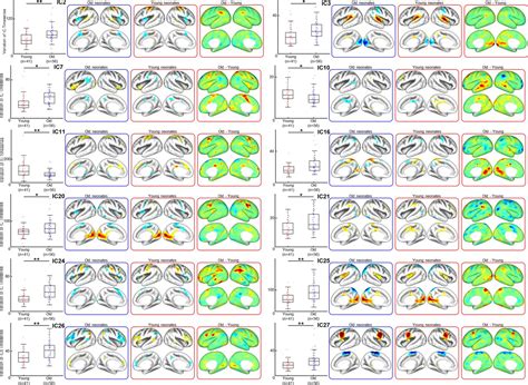 Figures And Data In Toward A More Informative Representation Of The Fetalneonatal Brain