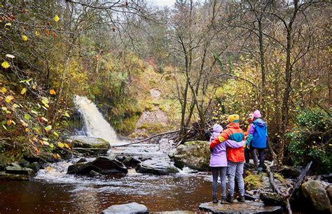 Best Things To Do In The Slieve Bloom Mountains With Discover Ireland