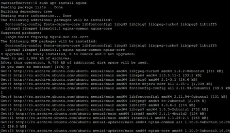 How To Install Nginx Mariadb 10 Php 7 Lemp Stack In 16101604