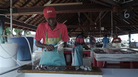 Sustainable Fisheries Management And Development Suite Of Laws