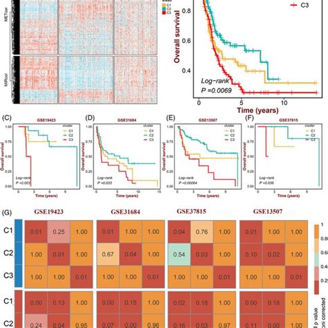 Immunotherapy Response Prediction And Validation Ac The Performance