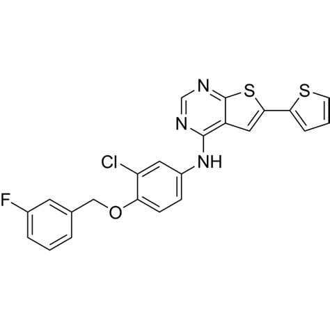 Coa Of Egfrerbb 2 Inhibitor 1 Certificate Of Analysis Abmole