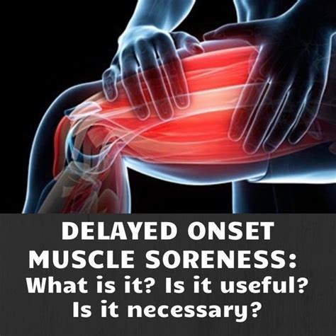 Delayed Onset Muscle Soreness Diagram