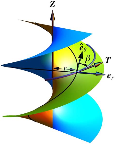 Curve On An Axisymmetric Surface The Tangent Basis Adapted To The Download Scientific Diagram