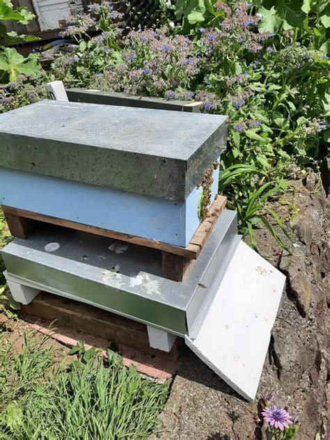 A Beekeeper Again Misc Postings From Nick Wallingford
