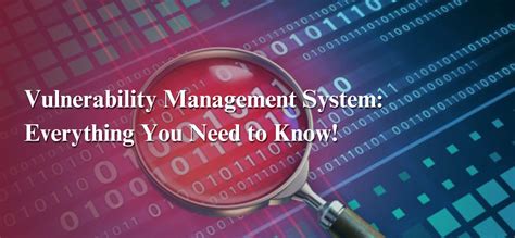 Vulnerability Management System Everything You Need To Know CyberTalents