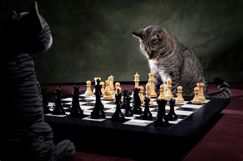 Chess Anime Wallpapers Top Free Chess Anime Backgrounds Wallpaperaccess