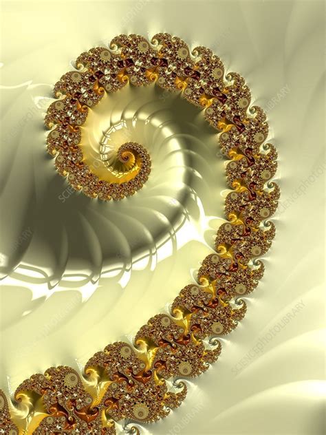 Mandelbrot Fractal Stock Image F Science Photo Library