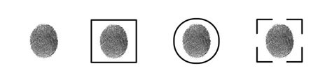 Premium Vector Set Of Fingerprints The Concept Of Identification Authorization Or Privacy