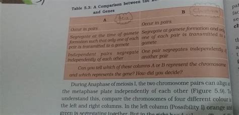 table 5 3 a comparison between and genes filo