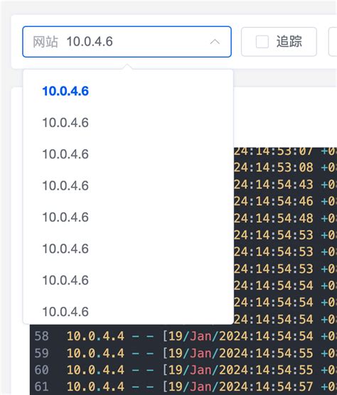[建议]关于网站命名相同的问题 1panel 社区论坛 fit2cloud 飞致云