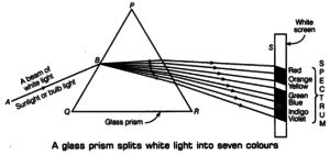 Light Class Extra Questions Science Chapter Learn CBSE