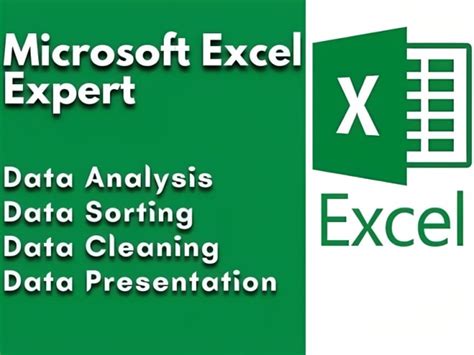 do data cleaning editing sorting or separate excel by kakashihatak951 fiverr