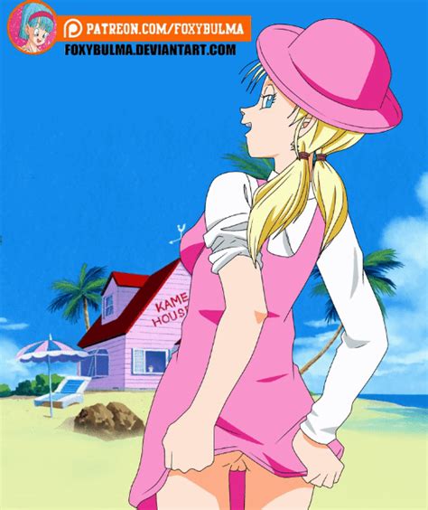 Post 3886994 Animated Dragonballseries Dragonballgt Foxybulma Marron