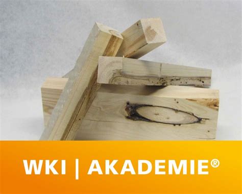 Wki Akademie Compact Course “grading Of Sawn Timber” Fraunhofer Wki