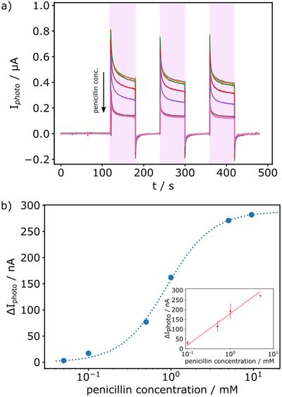 A Transient Photocurrent Curves For Increasing Penicillin