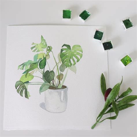 그린그린한 몬스테라 그린그린으로 기분좋은 월욜 되세염 수채화수채화강좌 수채화그리기 수채화수업수채화그림 수채화일러스트 수채화클래스 몬스테라몬스테라
