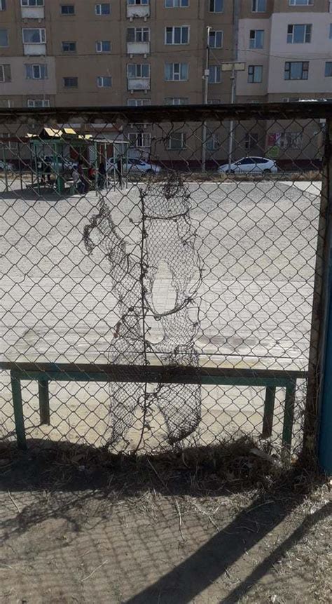 ЦЭЦЭРЛЭГИЙН ГАДНАХ ОРЧНЫ АЮУЛГҮЙ БАЙДАЛД ТАНДАЛТ СУДАЛГАА ХИЙЖ БАЙНА