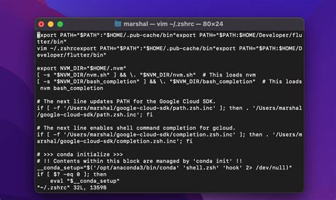 How Do I Stop My Terminal From Opening Vim Files Whenever I Open Up The