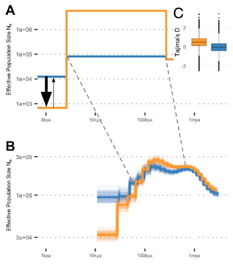 Population Genomic Statistics And Models Of Demographic History Download Scientific Diagram
