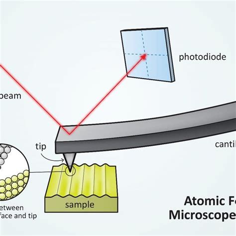35 Xenon Atoms In The Shape Of Ibm Positioned On A Nickel Crystal Download Scientific Diagram