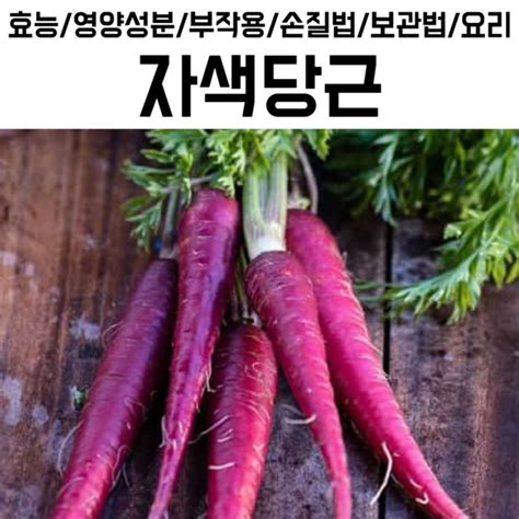 보라색당근 일반당근 영양분비교 자색당근 효능 부작용 자색당근즙 요리 먹는방법 네이버 블로그