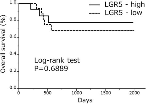 Prognostic Value Of Lgr5 By Kaplanmeier Analysis There Was No