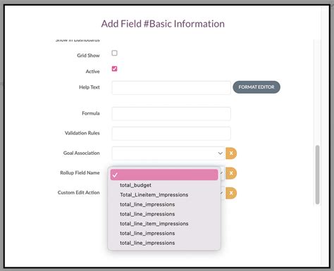Rollup Fields Use And Configuration Tapclicks