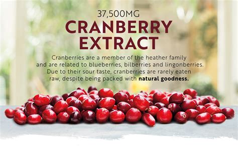 Max Strength Cranberry 37500mg 180 Vegan Capsules Daily Supplement
